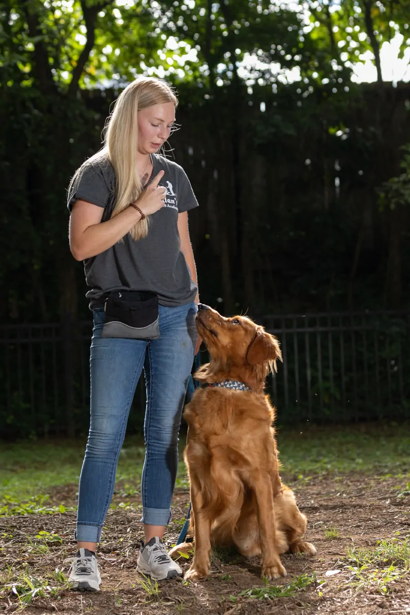 Dog Training Atlanta Metro Area: Take Your Dog From Wild To Well ...