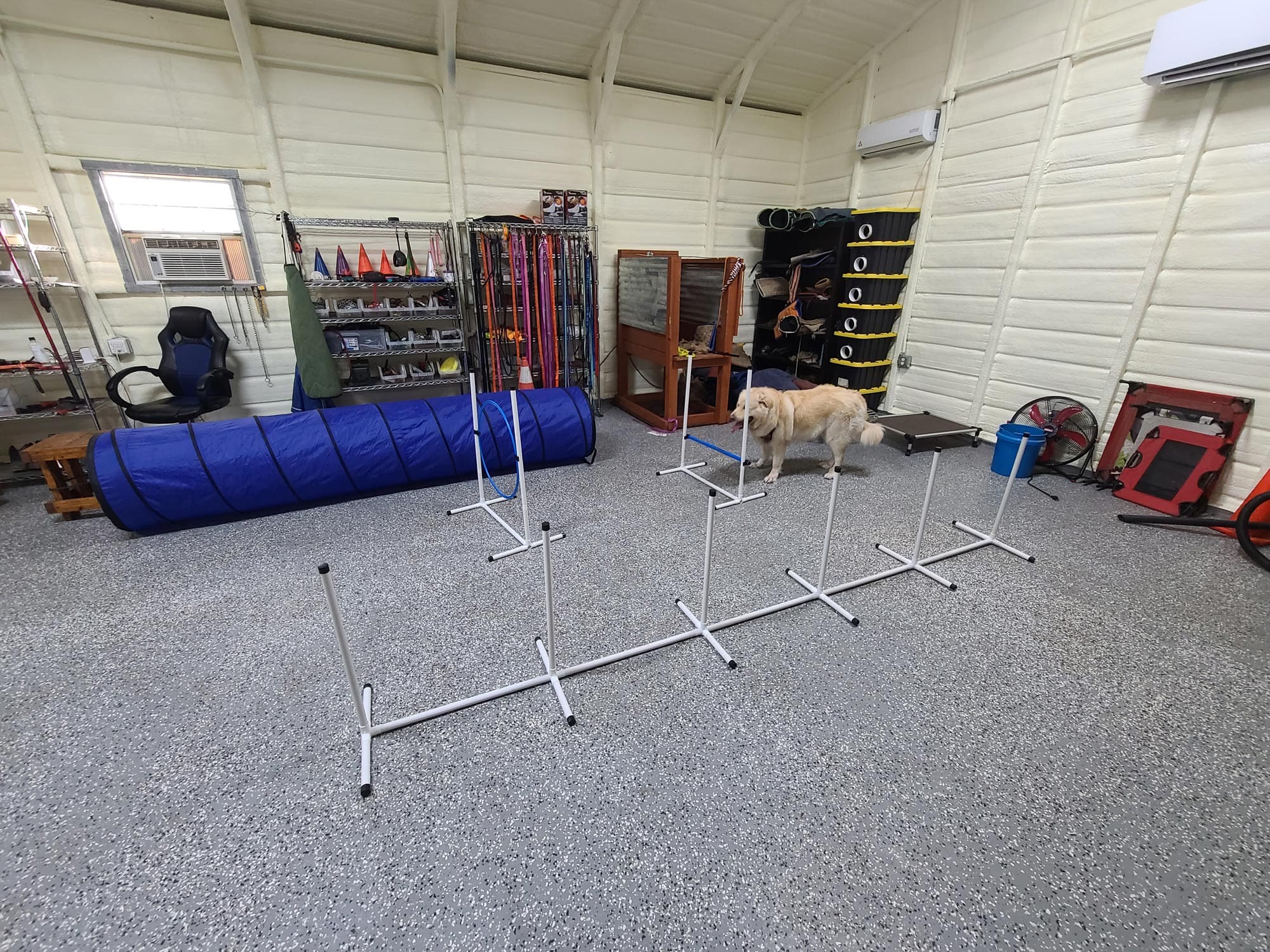 Done-For-You Dog Training in Houston - Transform Your Dog Quickly ...