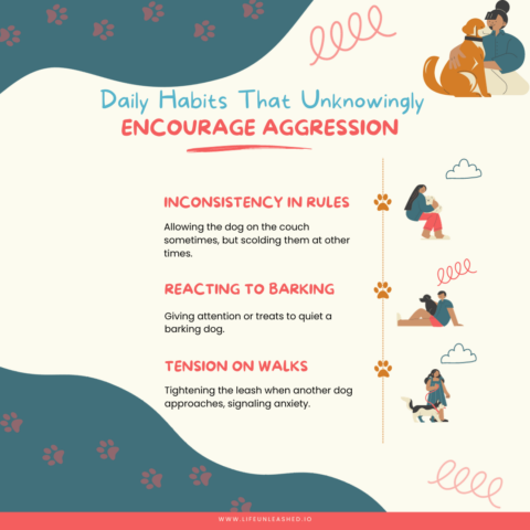 The Frustrated Owner’s Guide to Curbing Dog Aggression | Life Unleashed