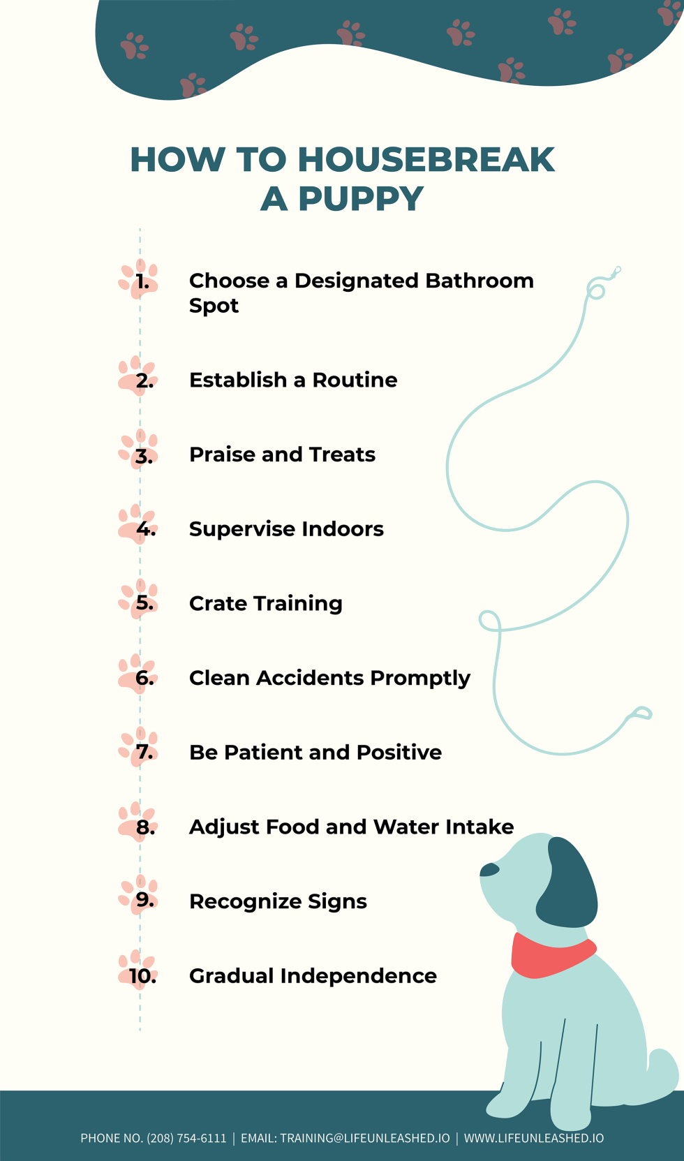 A Guide to Puppy Training Excellence 101| LifeUnleashed
