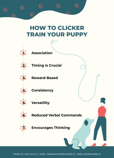 A Guide to Puppy Training Excellence 101| LifeUnleashed