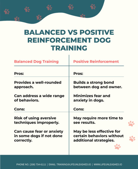 Make an Informed Choice: Balanced Dog Training vs. Positive Reinforcement | Life Unleashed