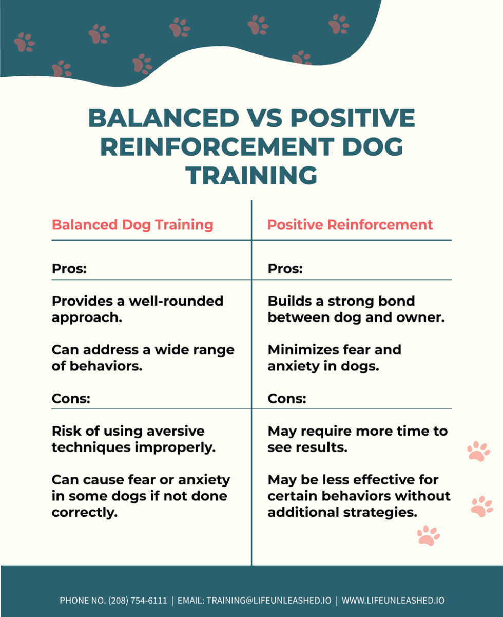 Make an Informed Choice: Balanced Dog Training vs. Positive Reinforcement | Life Unleashed